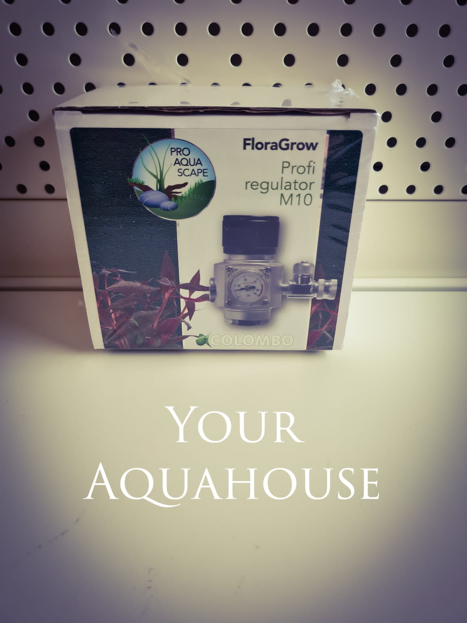 Colombo co2 profi drukregelaar M10 | Your Aquahouse