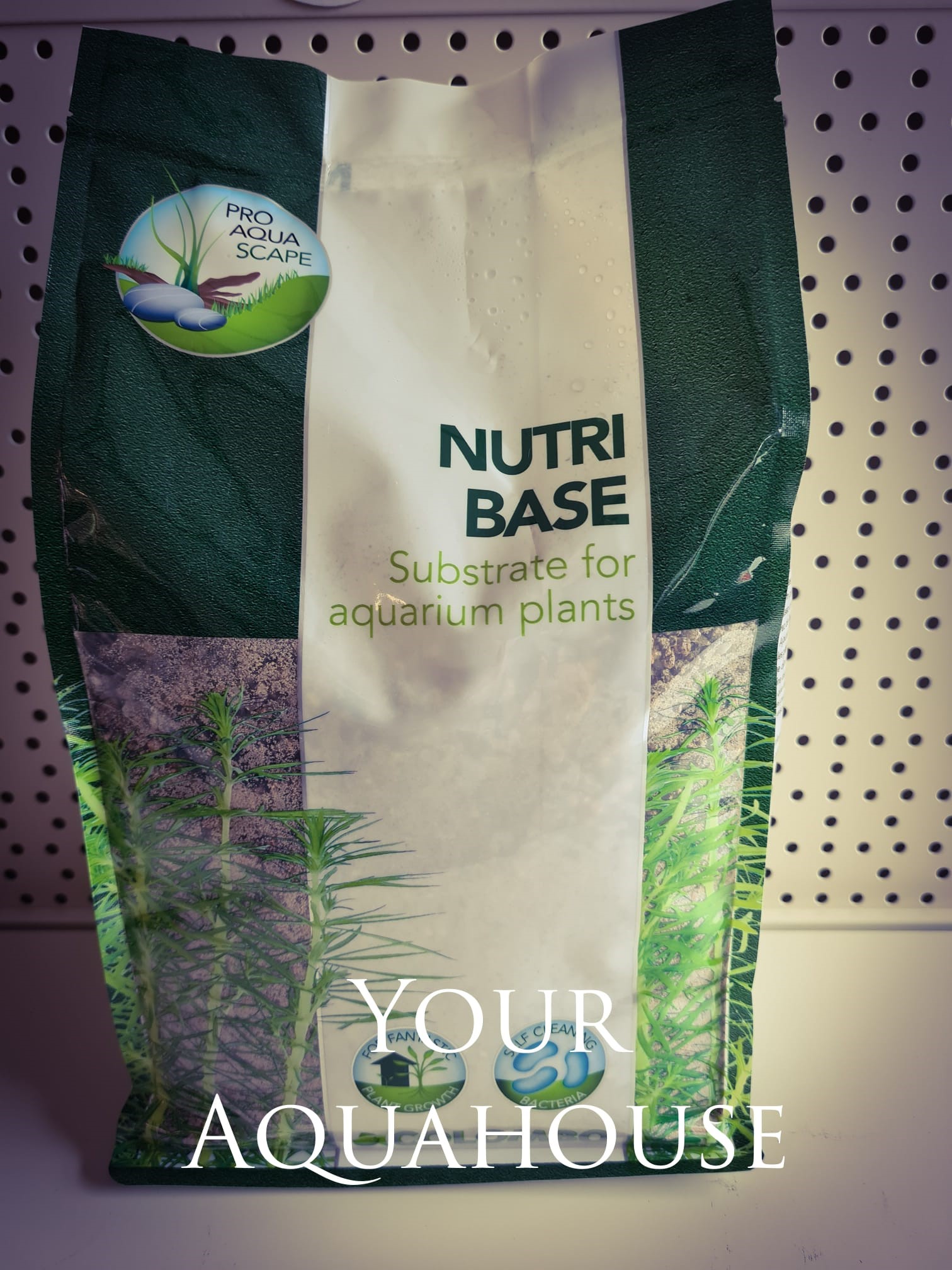 Colombo flora nutri base 5l | Your Aquahouse