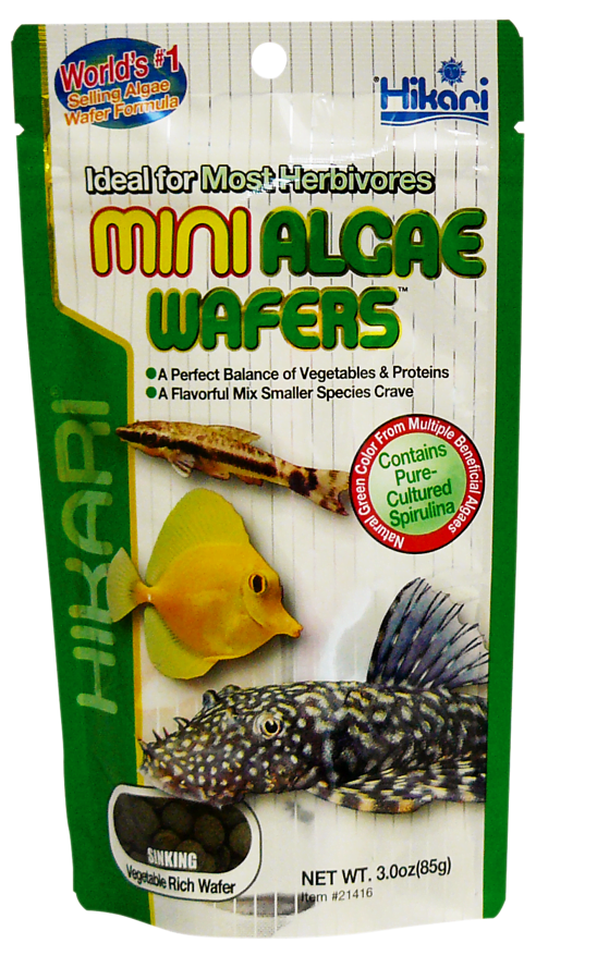 Hikari mini algae wafers | Your Aquahouse